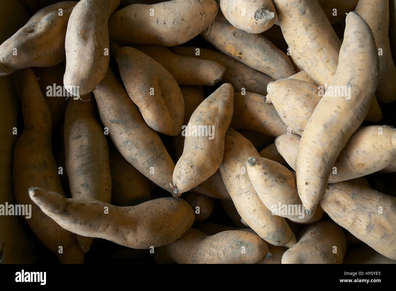 Lohas garden hi-res stock photography and images - Alamy