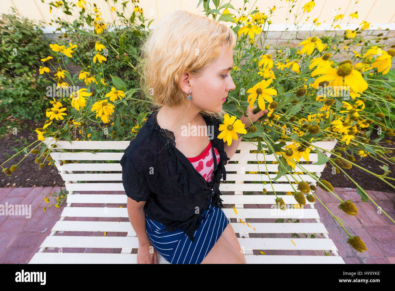 Closeup of young woman smelling tall sunflower yellow daisy flowers on ...
