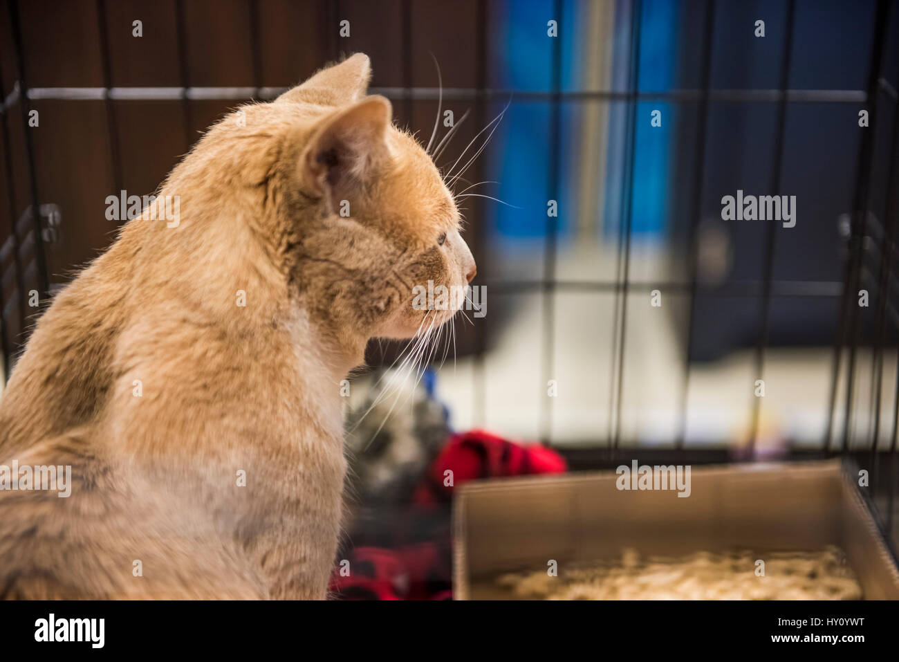 One orange sad face hi-res stock photography and images - Alamy