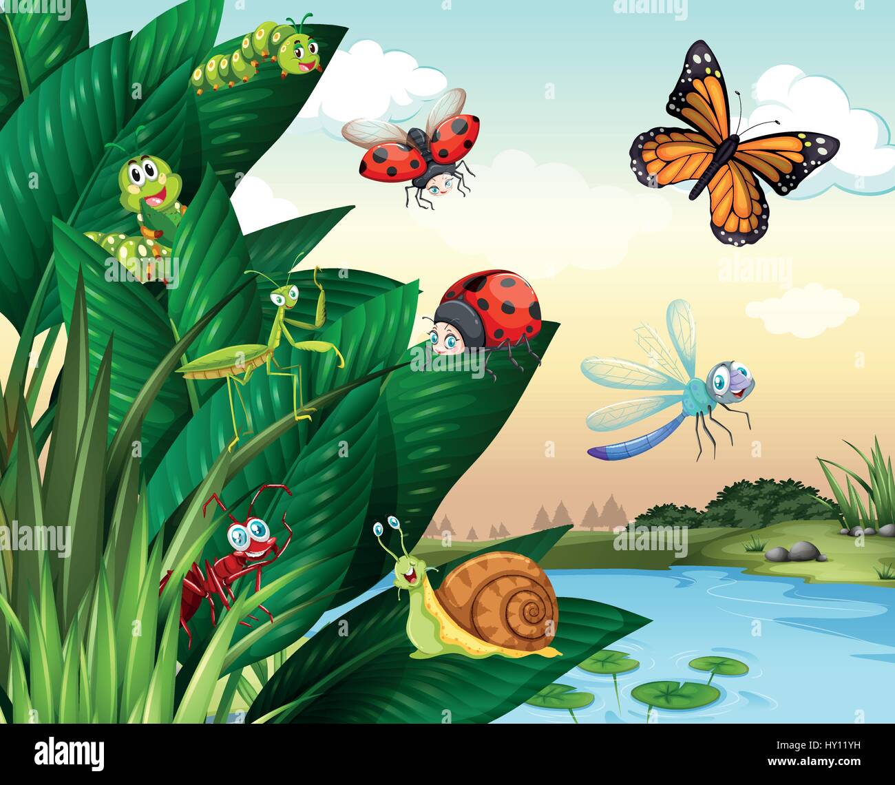 Types of insects hi-res stock photography and images - Alamy