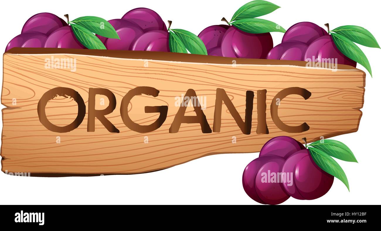 Organic sign with plums illustration Stock Vector Image & Art - Alamy