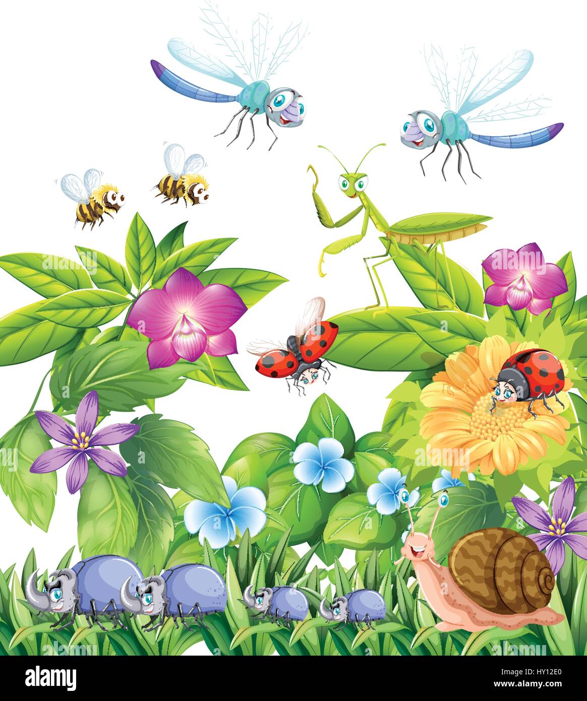 Many insects flying in garden illustration Stock Vector Image & Art - Alamy