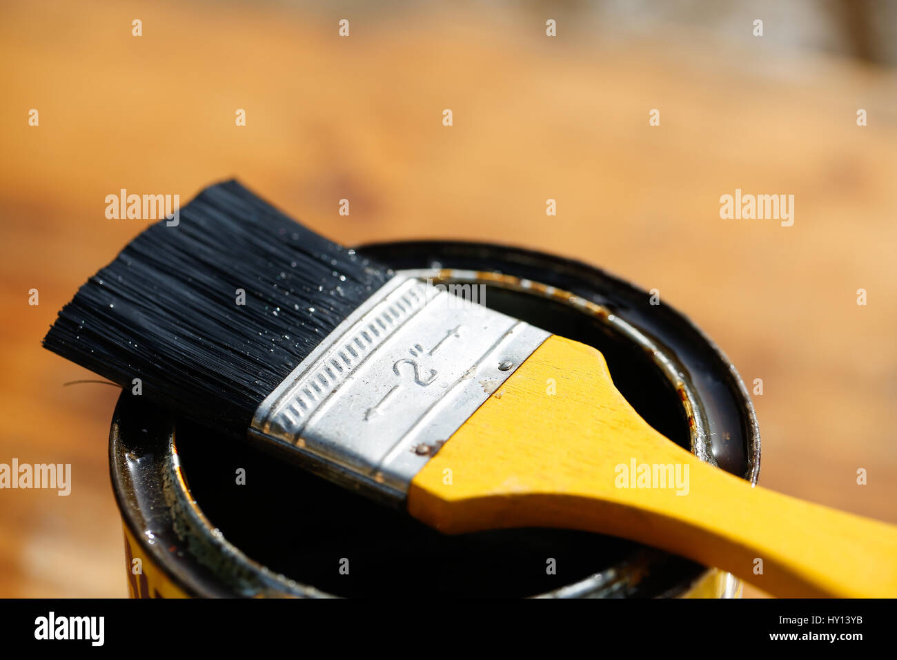 Brush insects hi-res stock photography and images - Alamy