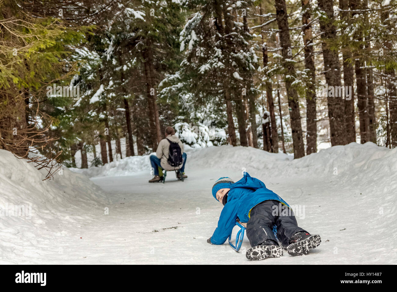 Boy riding sled in Koscieliska valley near Zakopane, Poland Stock Photo ...