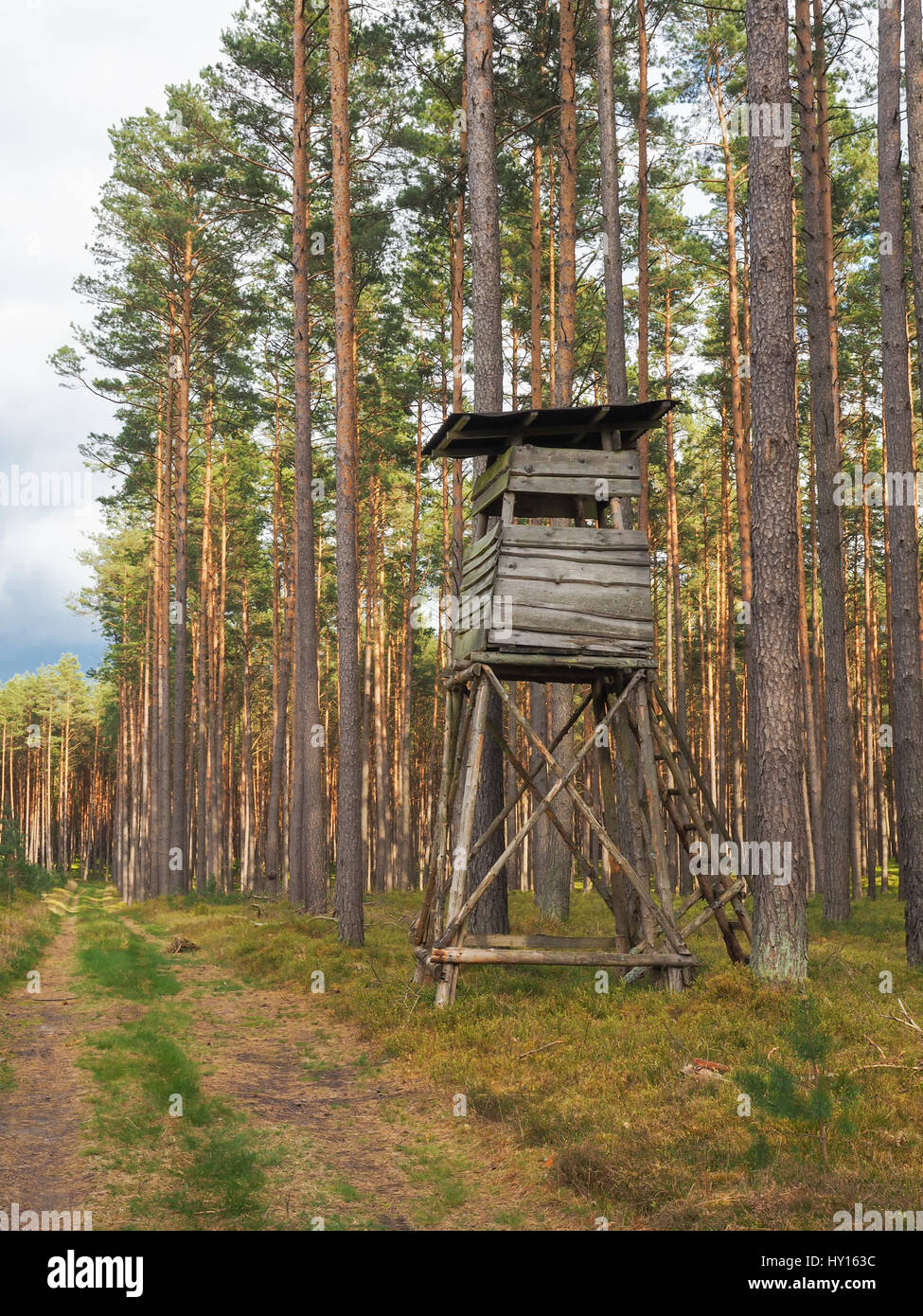 High seat for hunting in a forest in Germany Stock Photo - Alamy