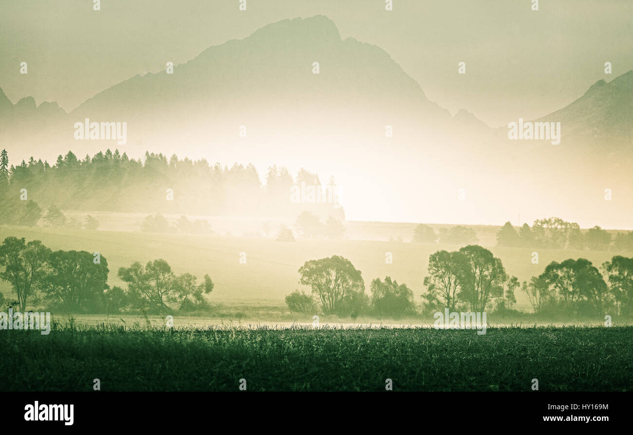 A beautiful, colorful, abstract mountain landscape with trees with a ...