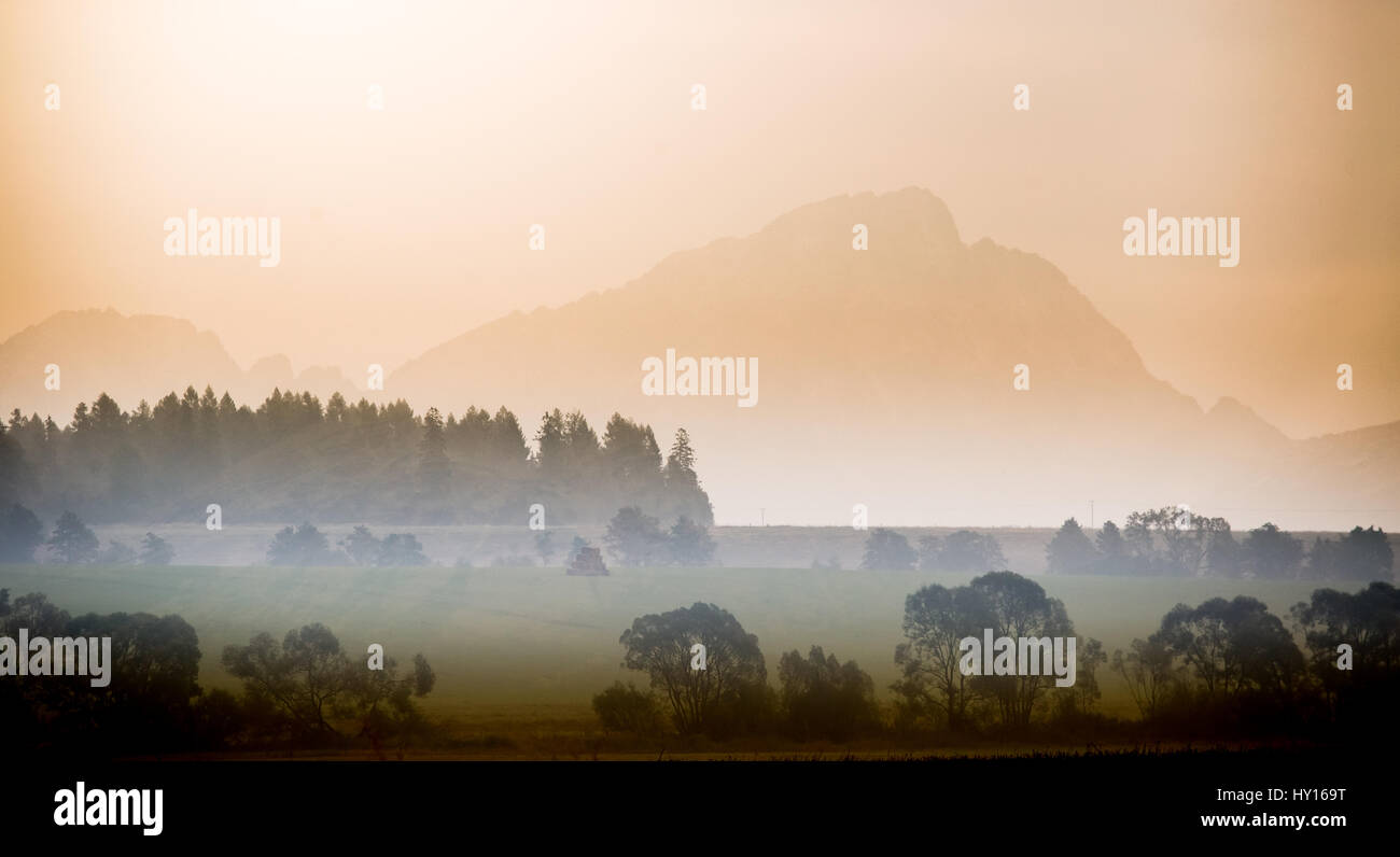 A beautiful, colorful, abstract mountain landscape with trees with a ...
