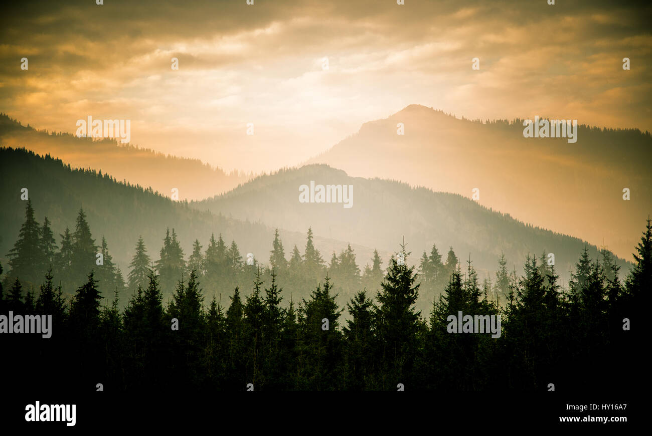 A beautiful, colorful, abstract mountain landscape with trees with a ...
