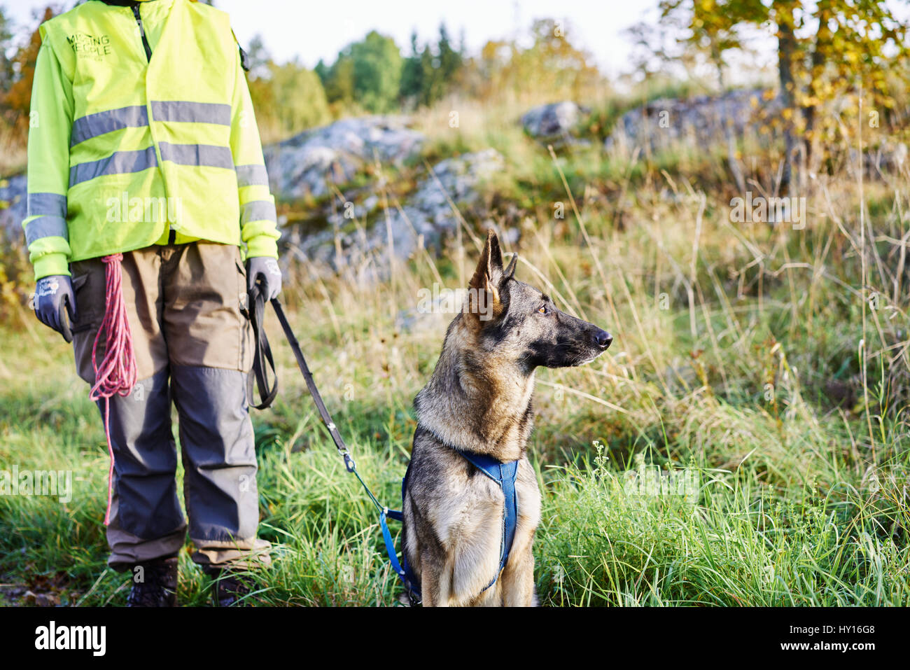 Dog helping person hi-res stock photography and images - Alamy