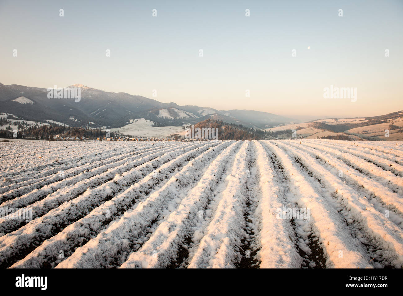 plotted agriculture fields in winter under the snow Stock Photo - Alamy