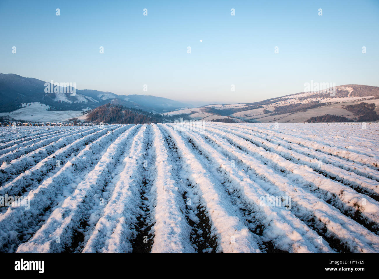 plotted agriculture fields in winter under the snow Stock Photo - Alamy