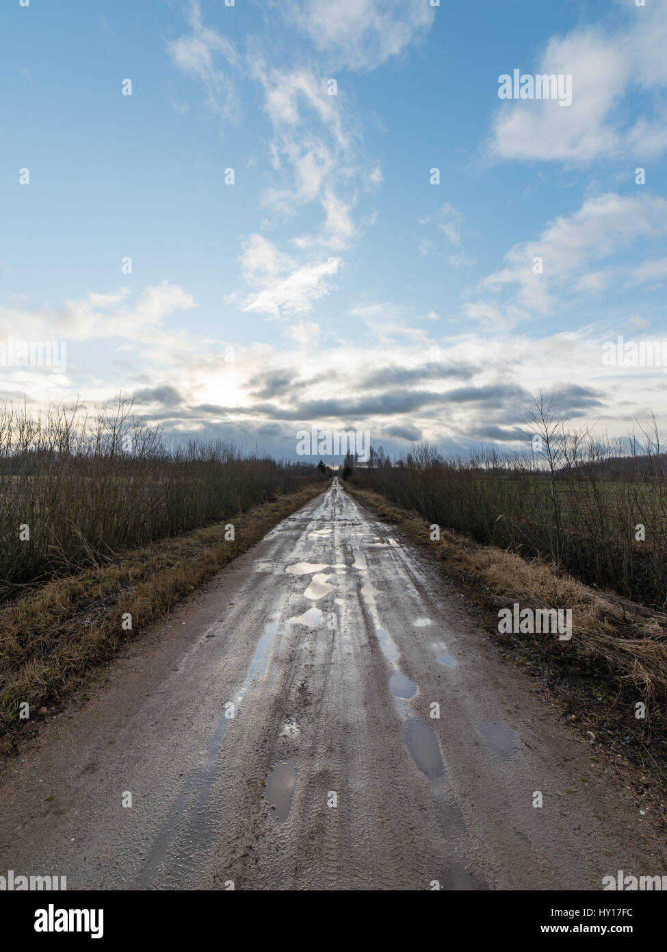 empty road in the countryside with trees in surrounding. perspective in ...