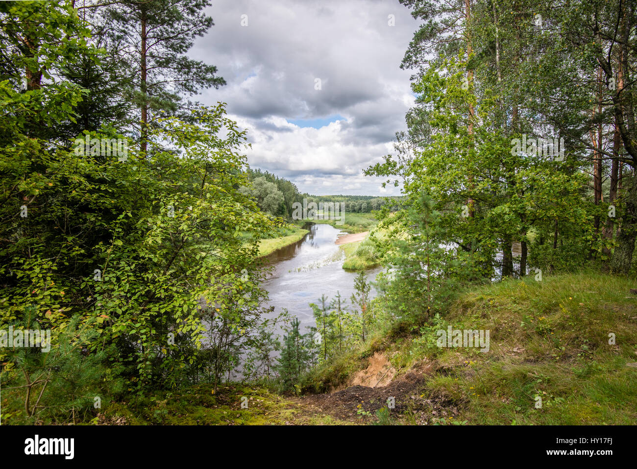 calm river in forest with reflections and trees on both sides of the ...