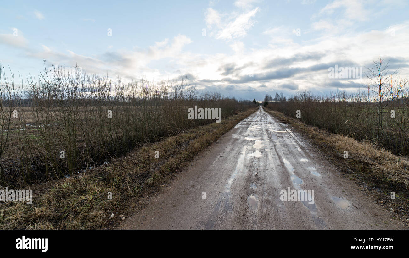 empty road in the countryside with trees in surrounding. perspective in ...