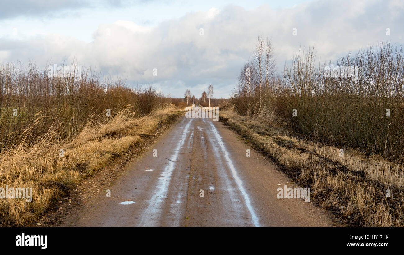 empty road in the countryside with trees in surrounding. perspective in ...