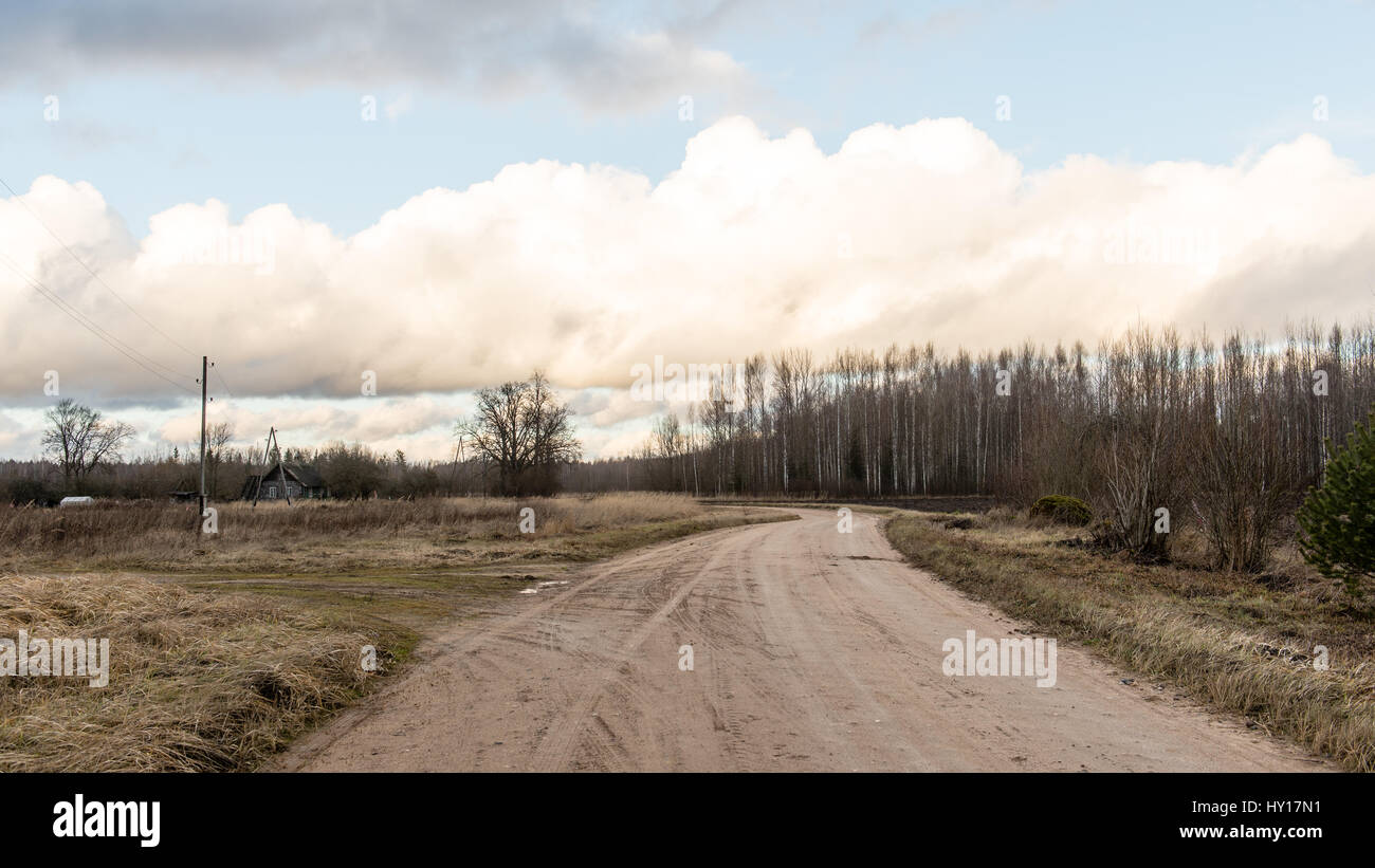 empty road in the countryside with trees in surrounding. perspective in ...