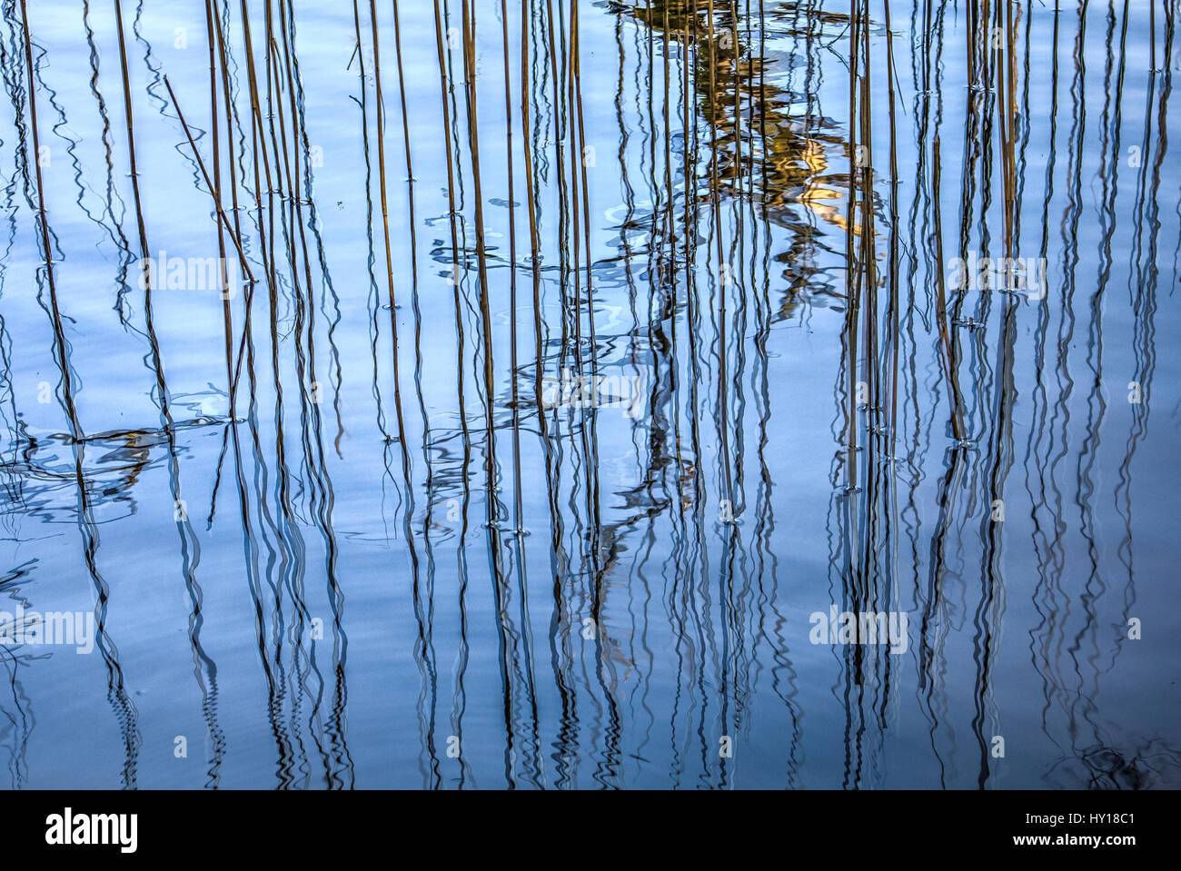 Multiple exposures hi-res stock photography and images - Alamy