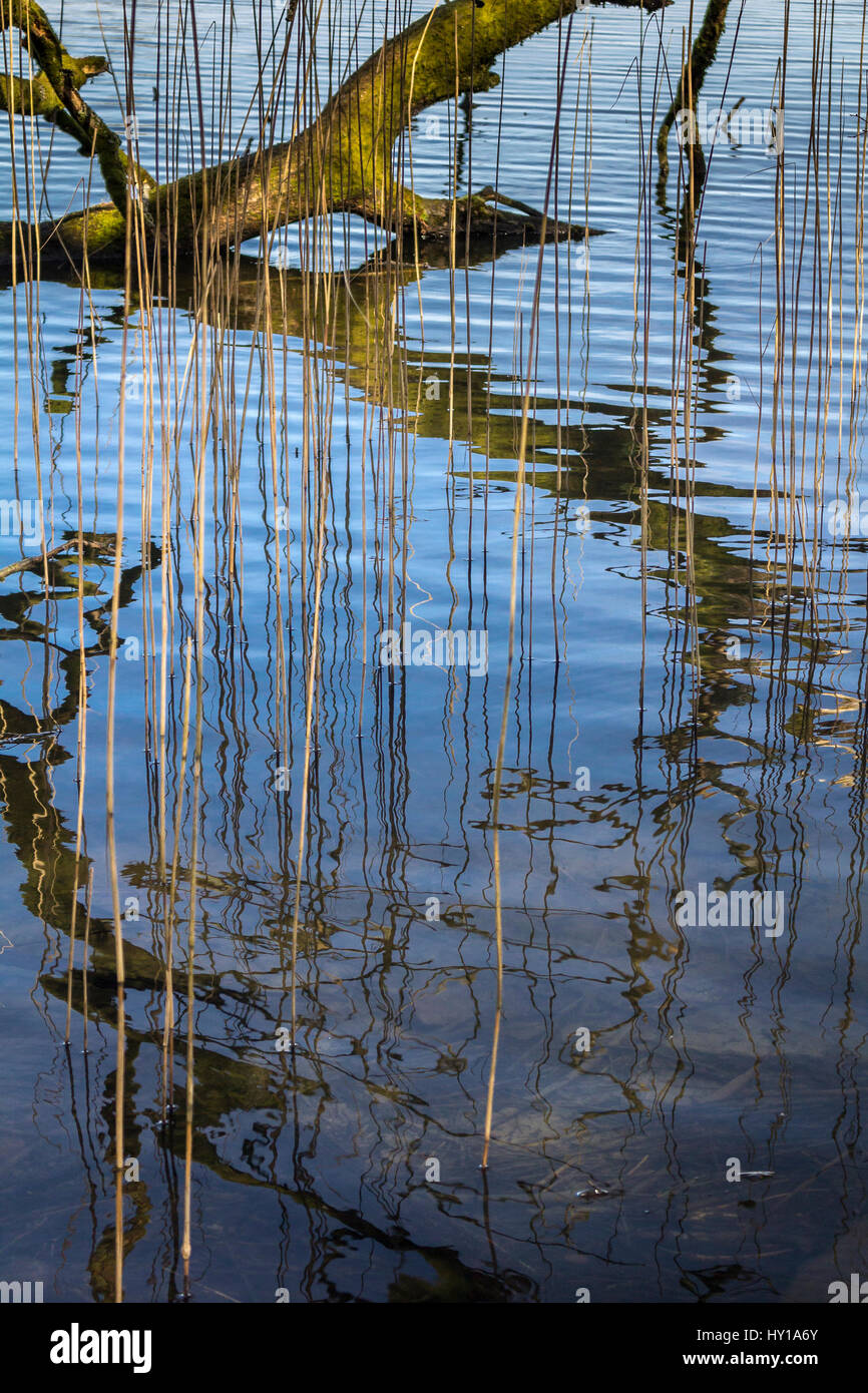 Water abstract art ripple ripples hi-res stock photography and images ...