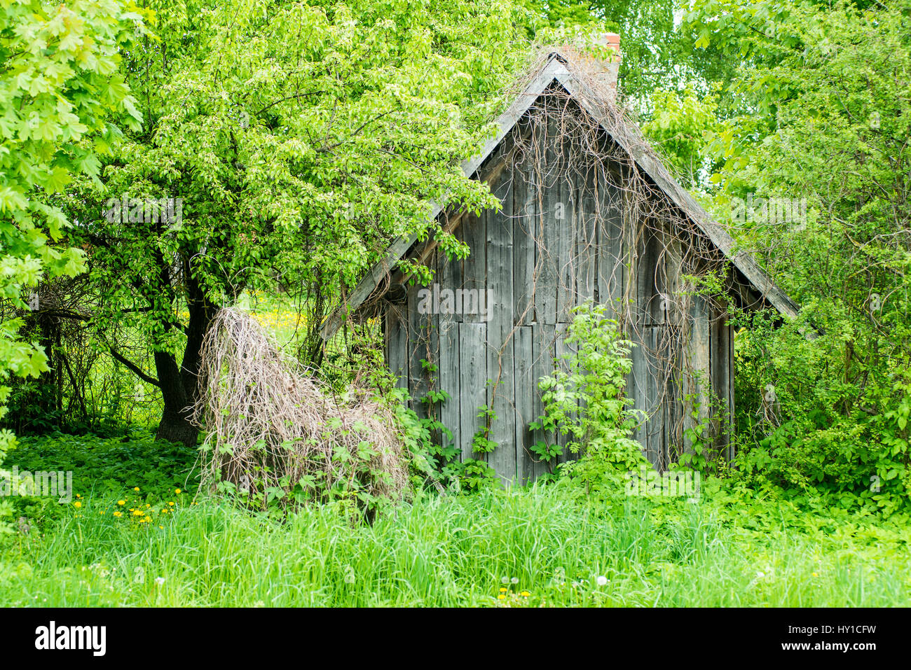 countryside buildings in summer in small village Stock Photo - Alamy