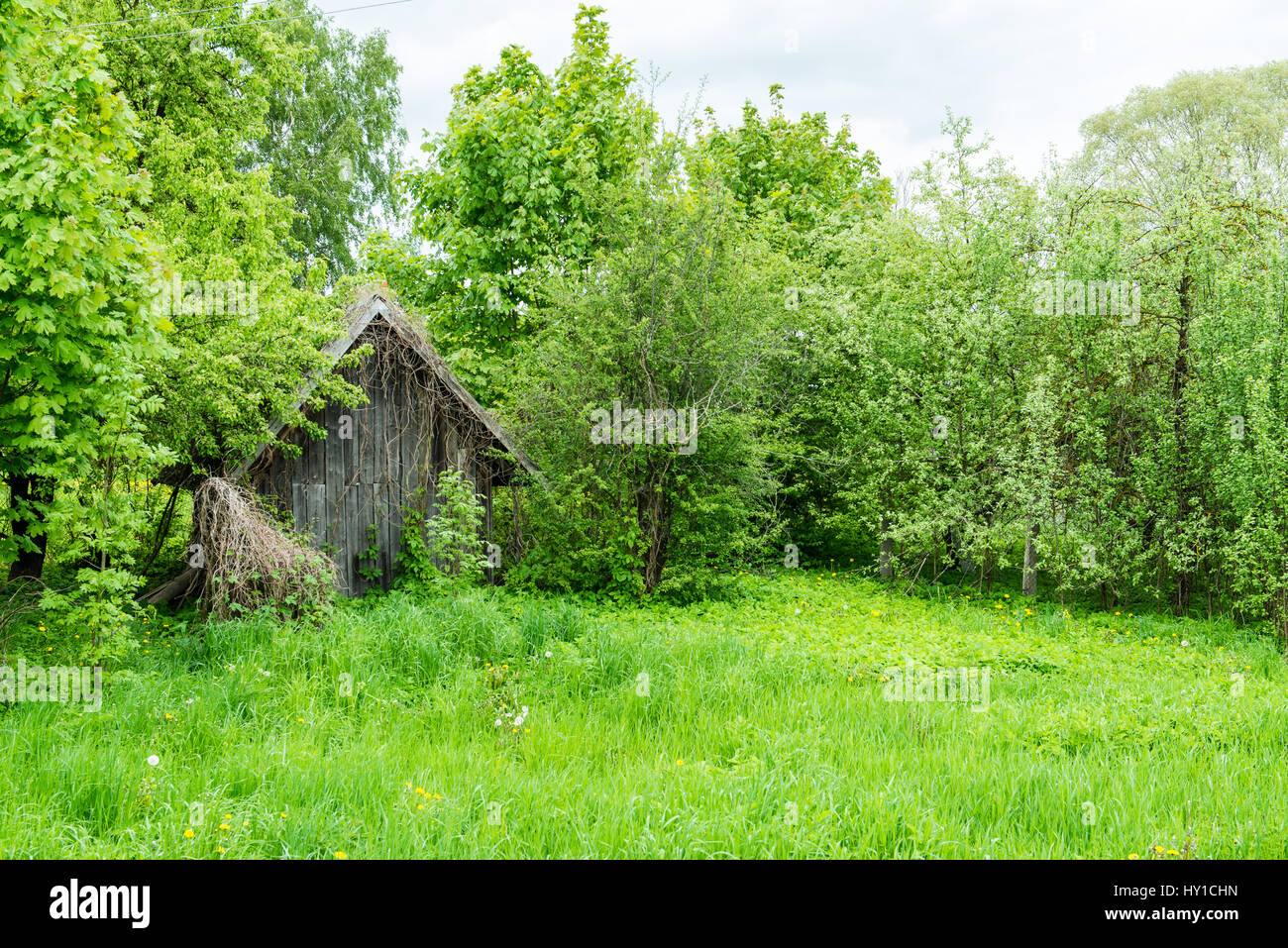 countryside buildings in summer in small village Stock Photo - Alamy