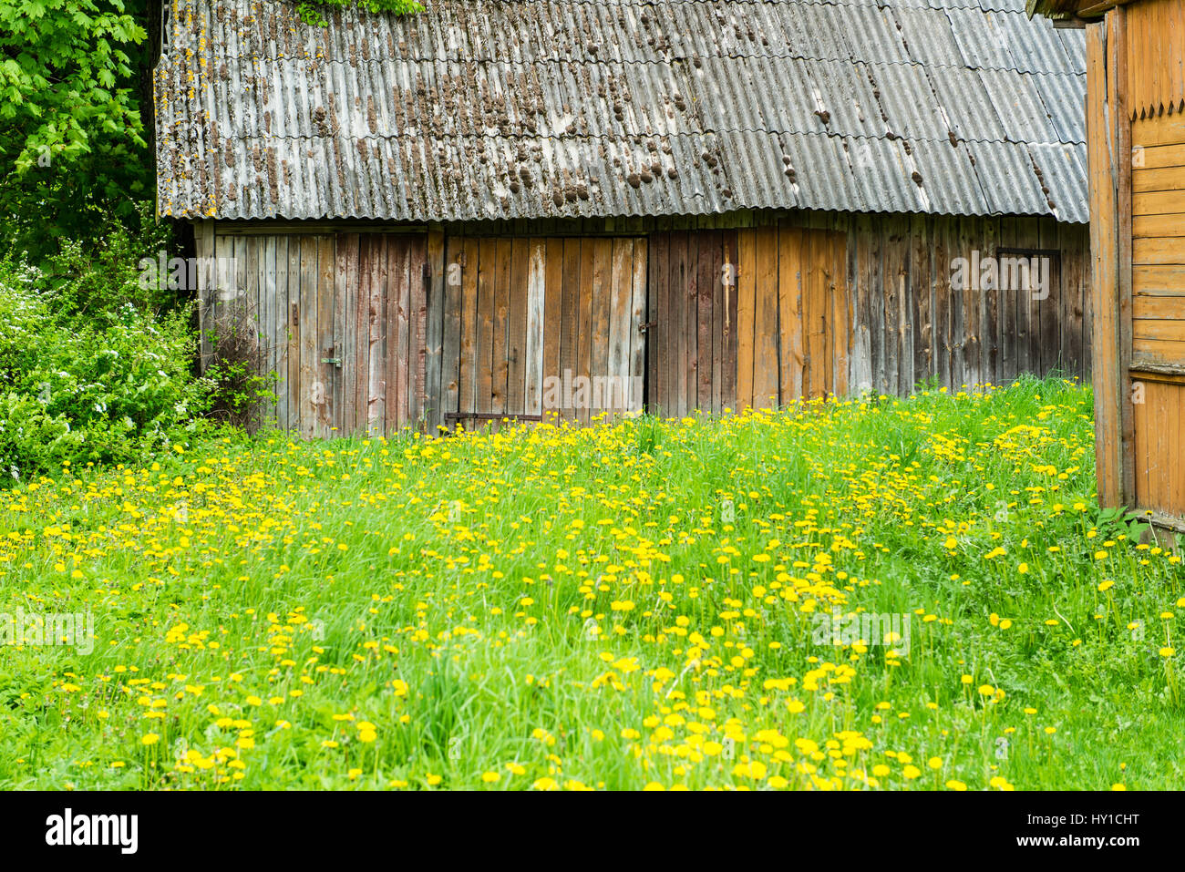 countryside buildings in summer in small village Stock Photo - Alamy