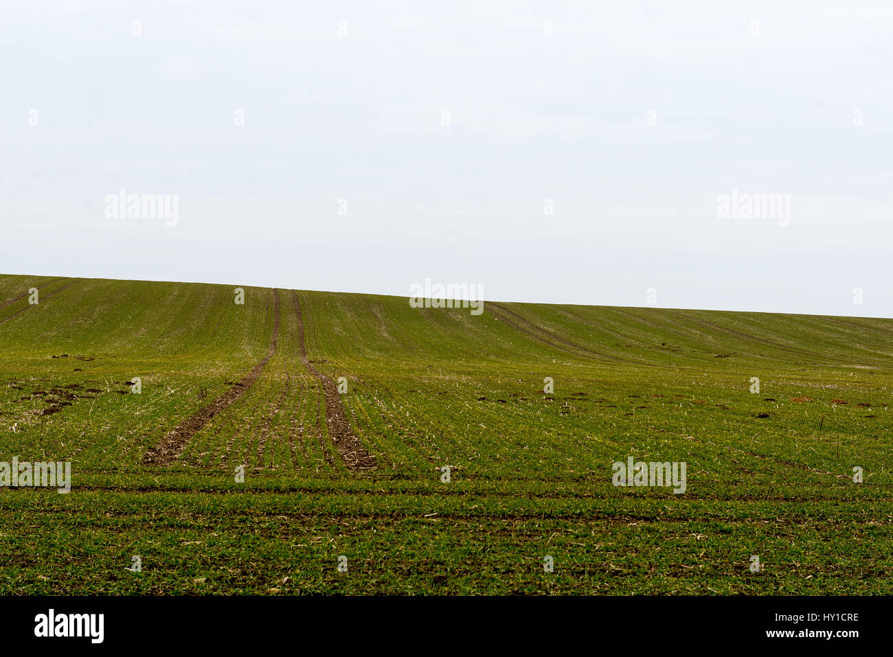 green fields aerial view from view tower in the country Stock Photo - Alamy