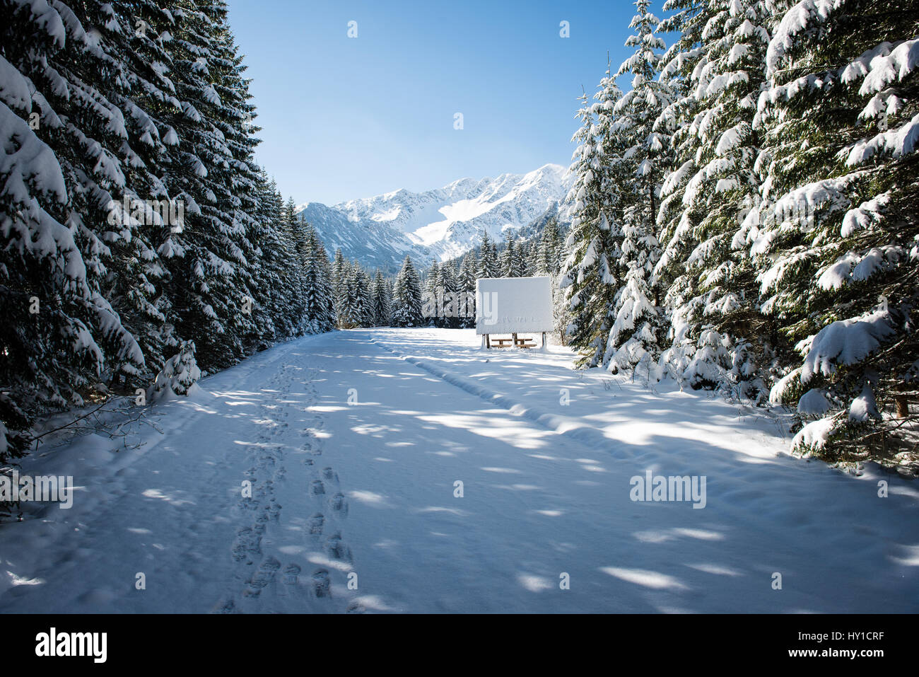 sunny tourist hiking track in winter snow, in western carpathian, tatry ...
