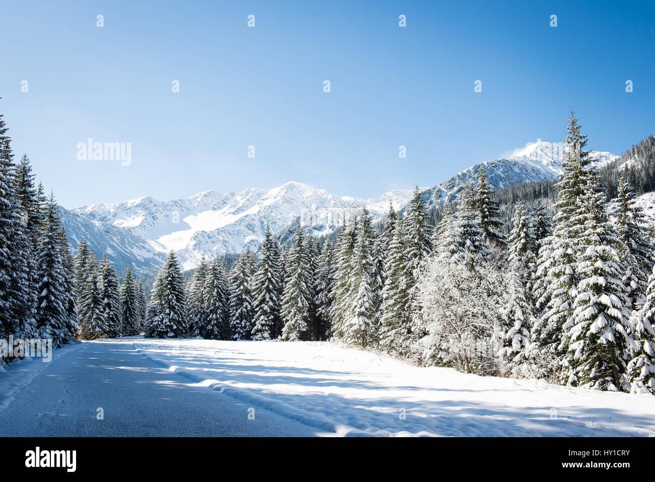 sunny tourist hiking track in winter snow, in western carpathian, tatry ...
