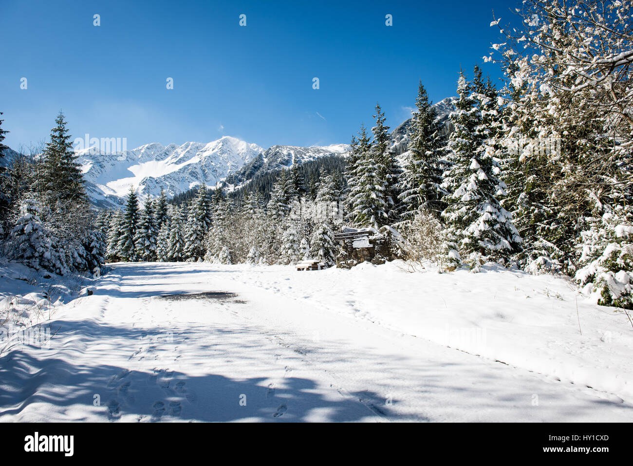 sunny tourist hiking track in winter snow, in western carpathian, tatry ...