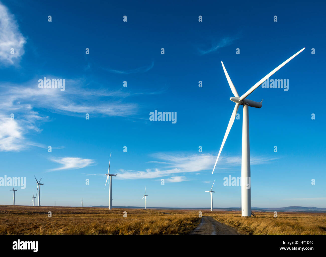 Caithness Scotland Windfarm High Resolution Stock Photography and ...