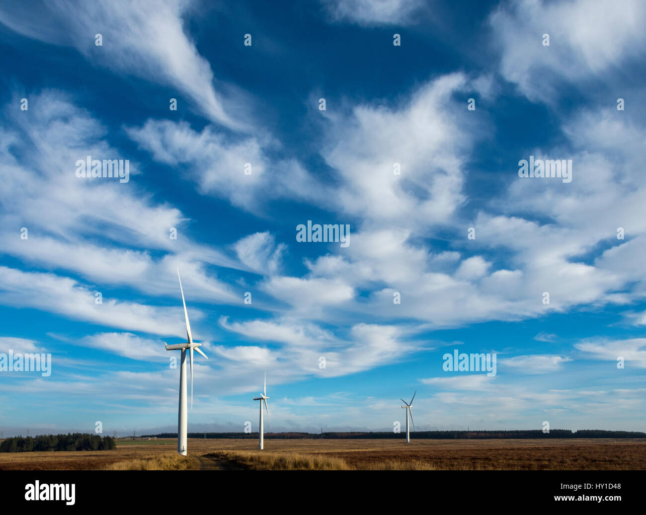 Caithness Scotland Windfarm High Resolution Stock Photography and ...