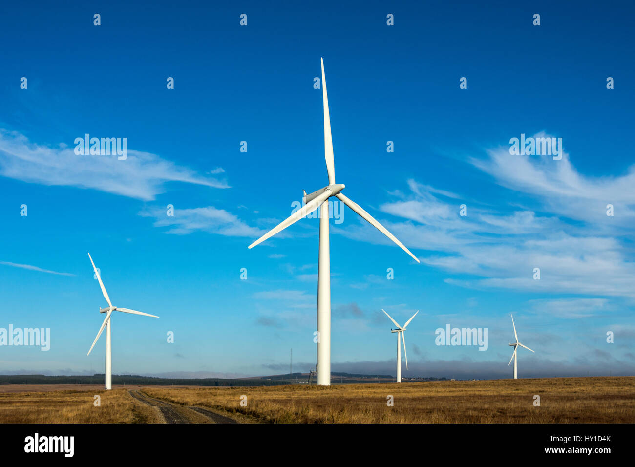 Caithness Scotland Windfarm High Resolution Stock Photography and ...