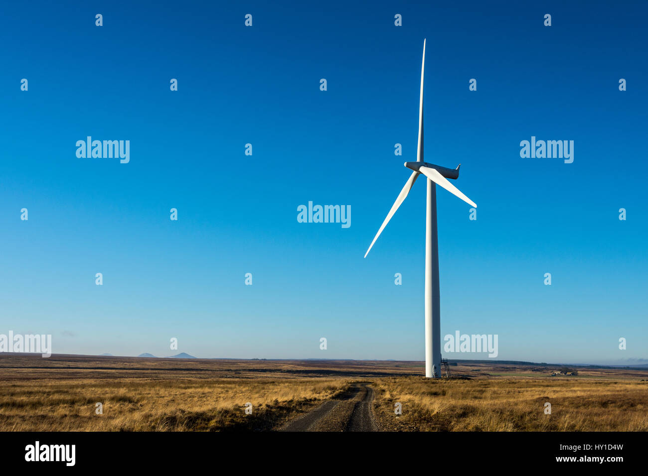 Caithness Scotland Windfarm High Resolution Stock Photography and ...