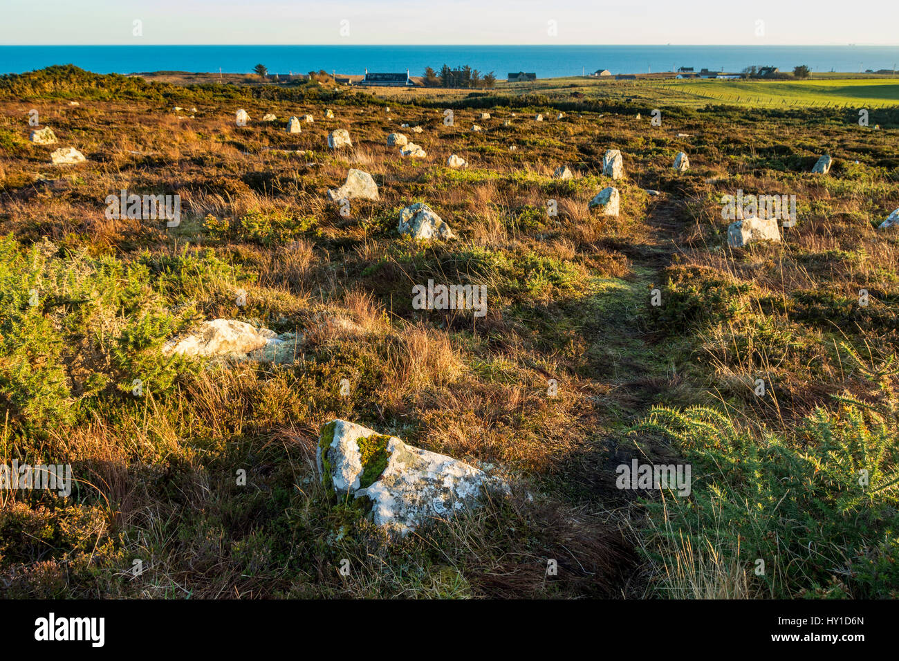 The Hill o' Many Stanes prehistoric site, near Lybster, Caithness ...