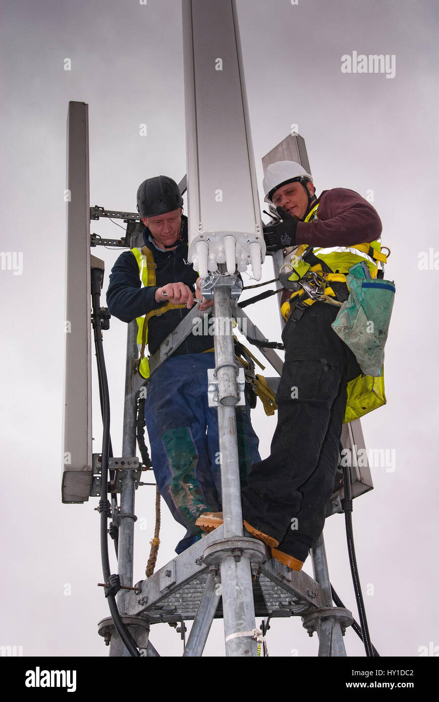 Mobile phone aerials being worked on Stock Photo - Alamy