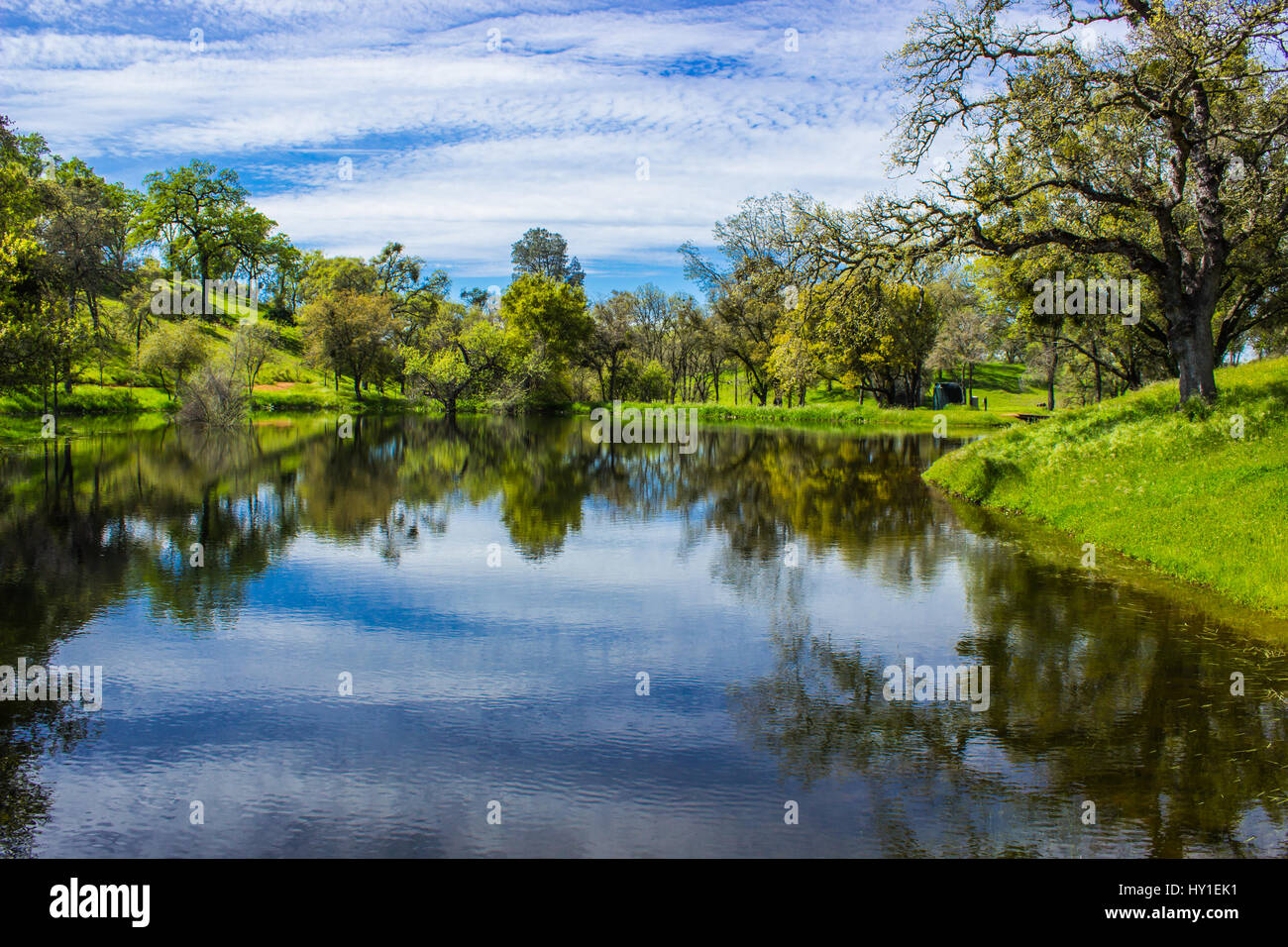 Blue Sky Reflecting Off Small Pond Stock Photo - Alamy