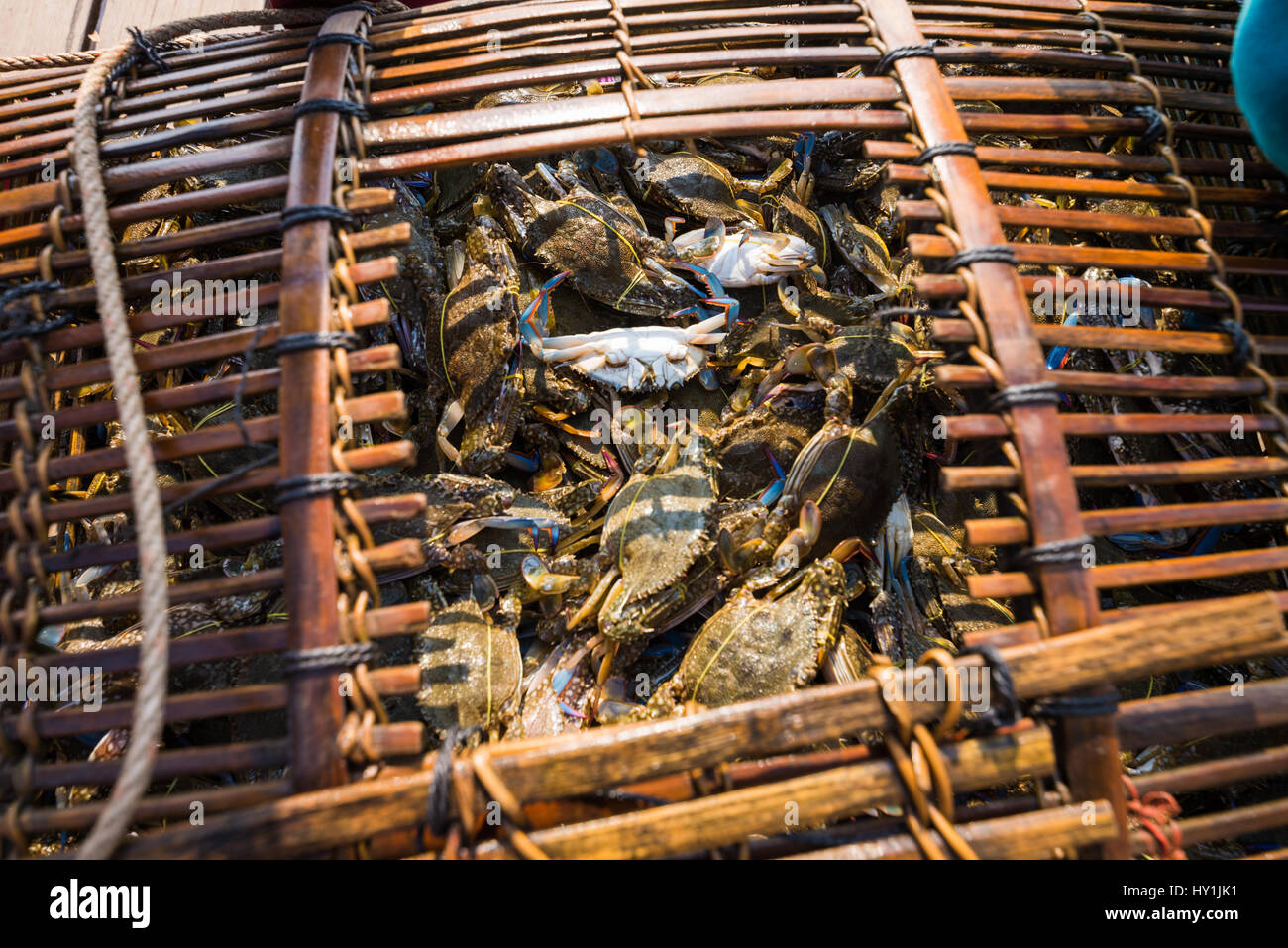 crab market in the Kep , Cambodia, Asia Stock Photo - Alamy