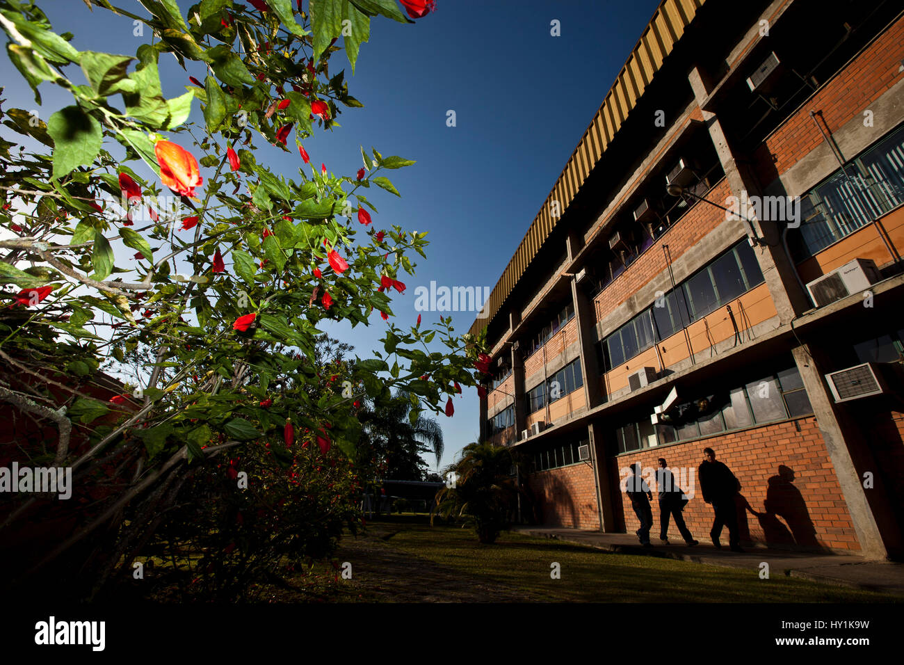 Factory workers arrive at work early in the morning at the beggining of ...