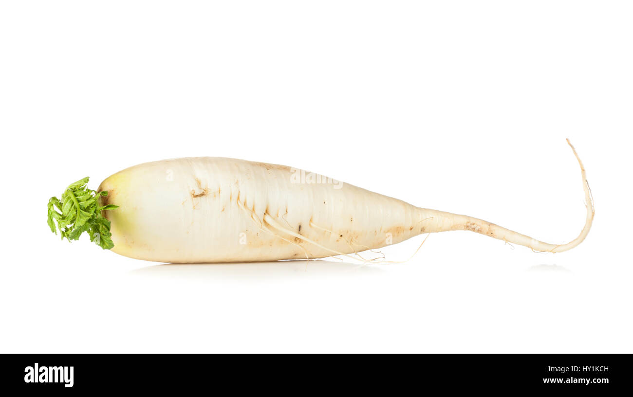 Raw Daikon radish isolated on white background Stock Photo - Alamy