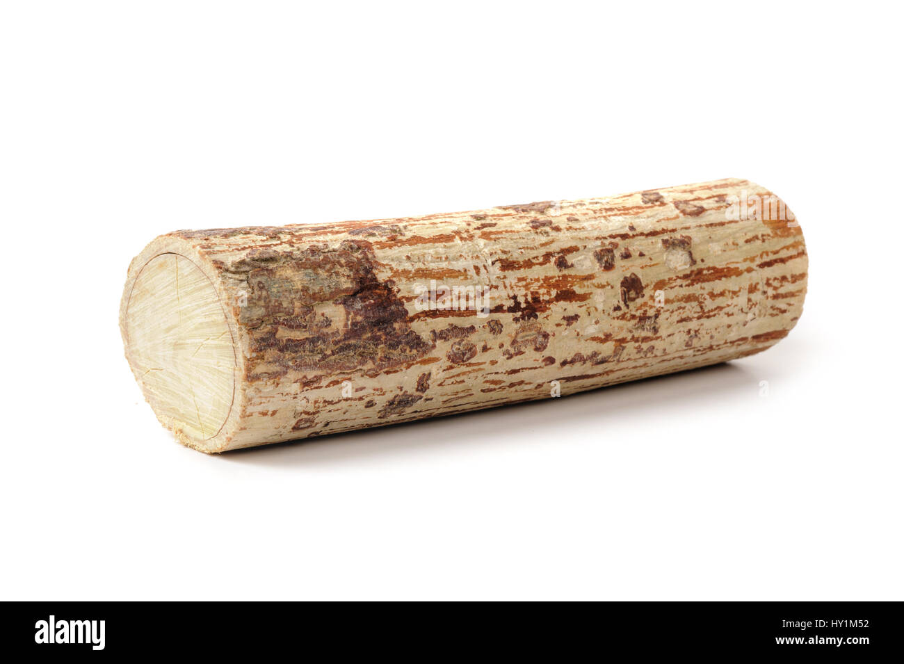 Tanaka tree hi-res stock photography and images - Alamy