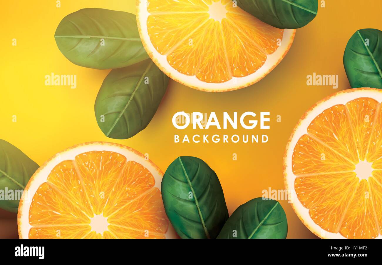 Citrus orchard agriculture Stock Vector Images - Alamy