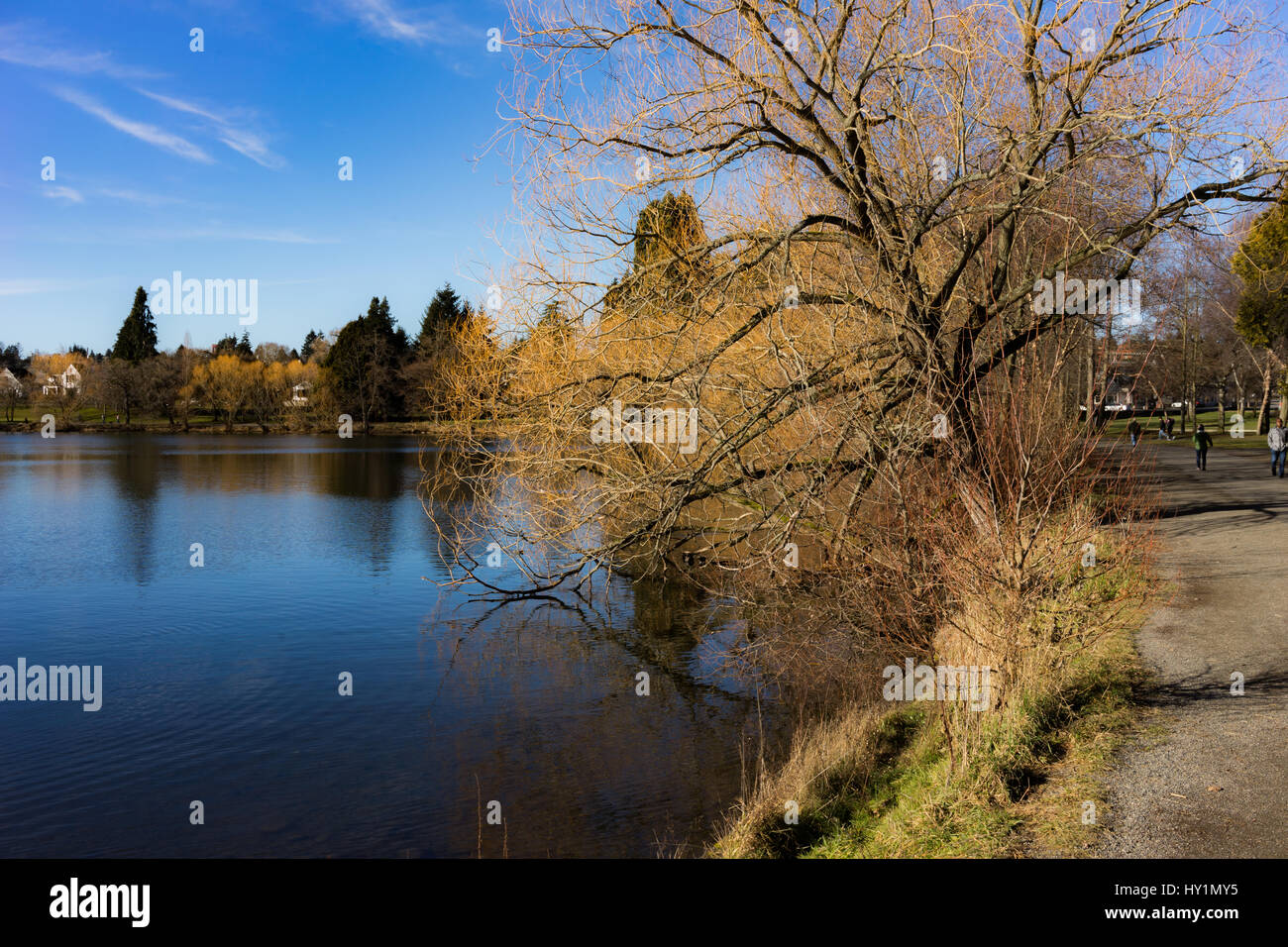 Green lake seattle hi-res stock photography and images - Alamy