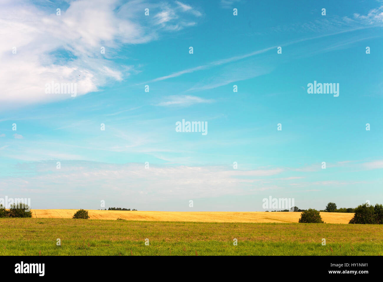 Green golden fields under hi-res stock photography and images - Alamy