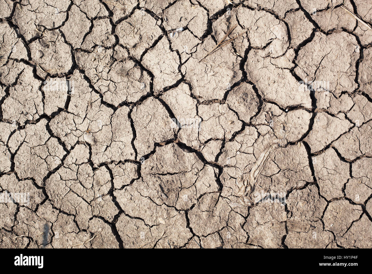 Closeup of dry soil Stock Photo - Alamy