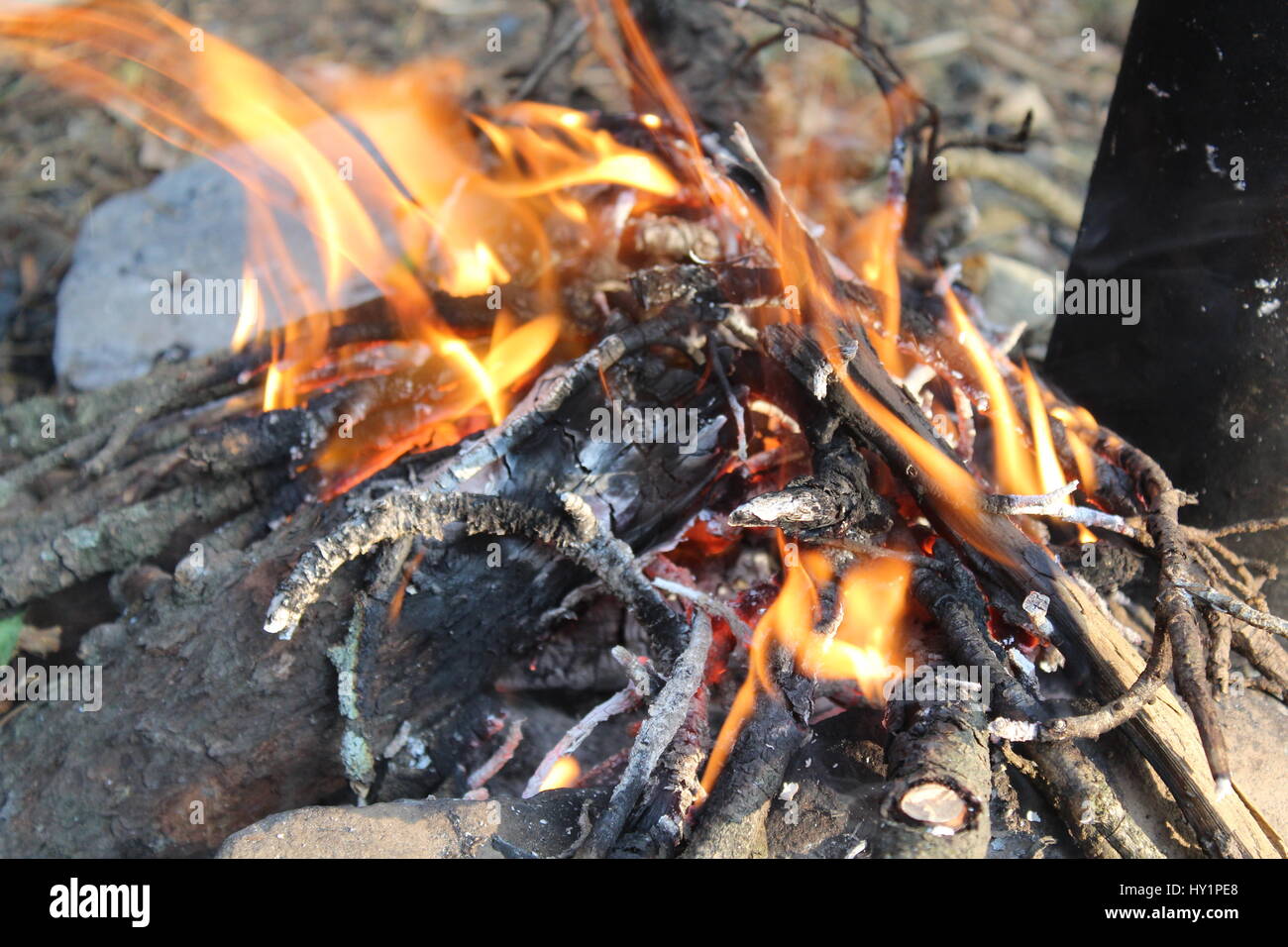 phtoBeauty of Pictures Stock Photo - Alamy