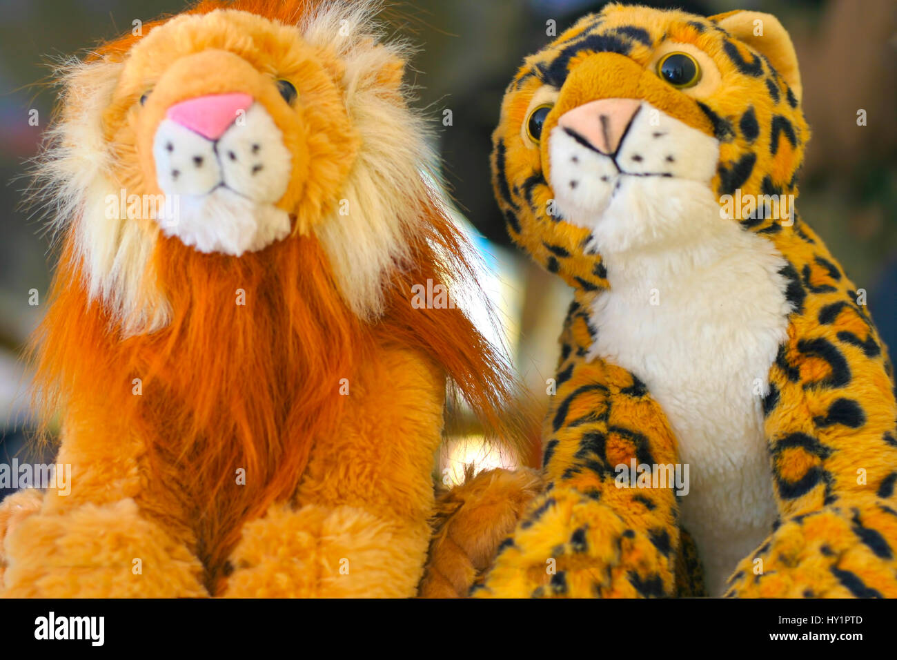 Two stuff toys of animals Stock Photo - Alamy