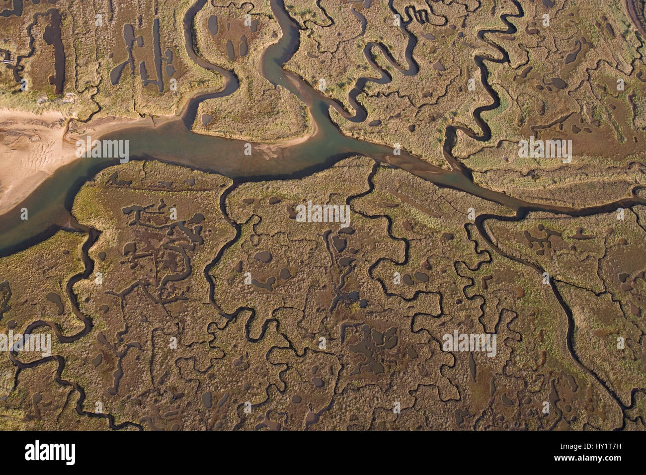 Aerial view of creeks and saltmarsh on Morston marsh, Norfolk, UK ...
