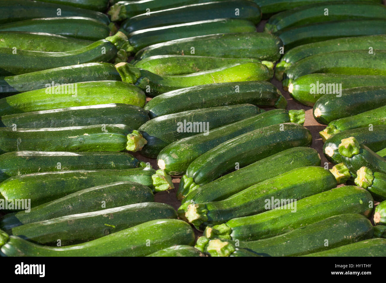 Minicucumbers hi-res stock photography and images - Alamy