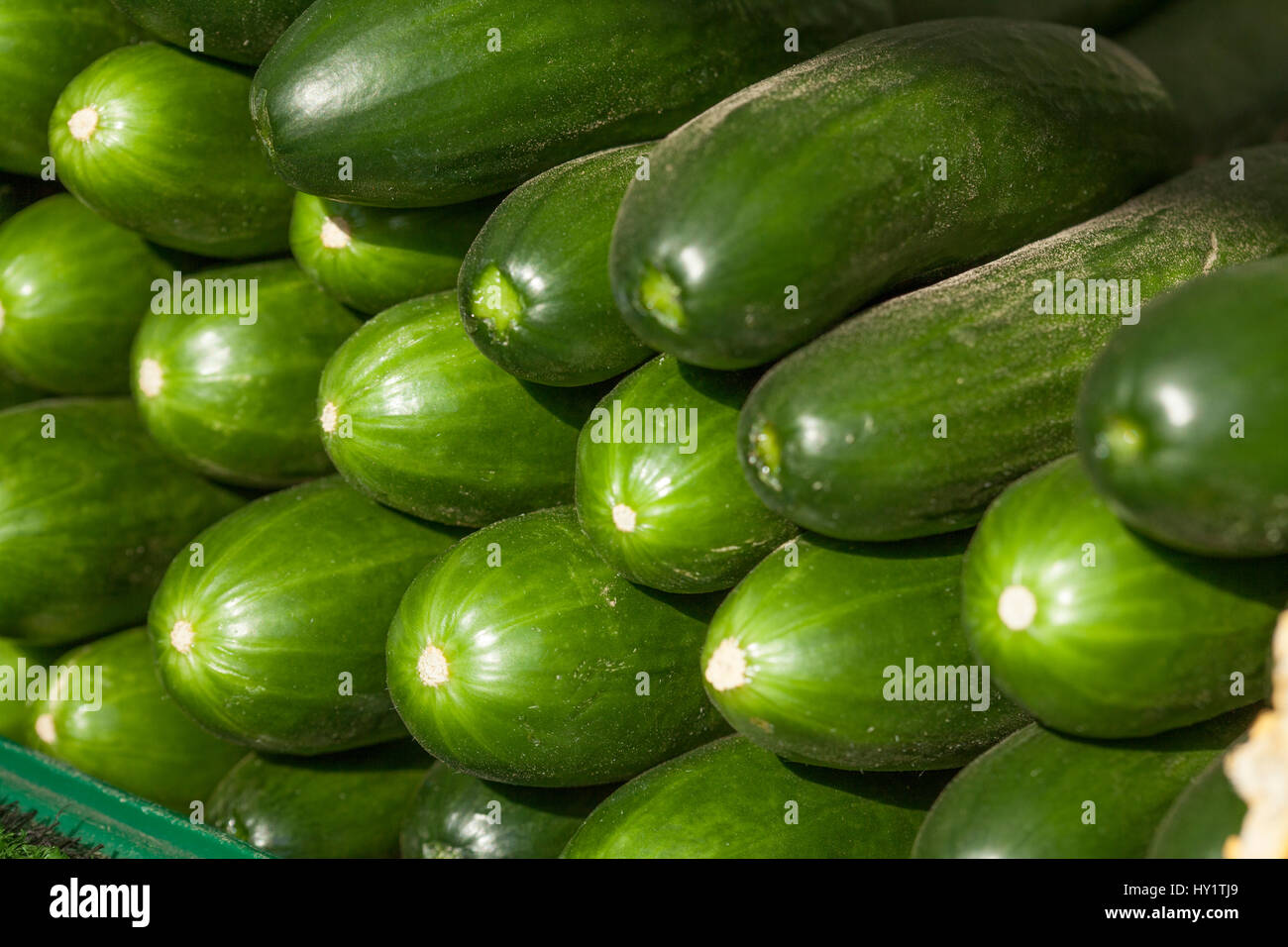 Minicucumbers hi-res stock photography and images - Alamy