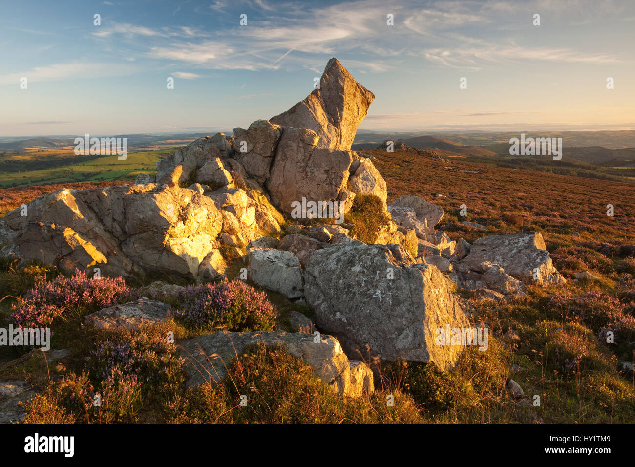 Rock outcrop formed of Ordovician quartzite on Stiperstones Ridge, with ...
